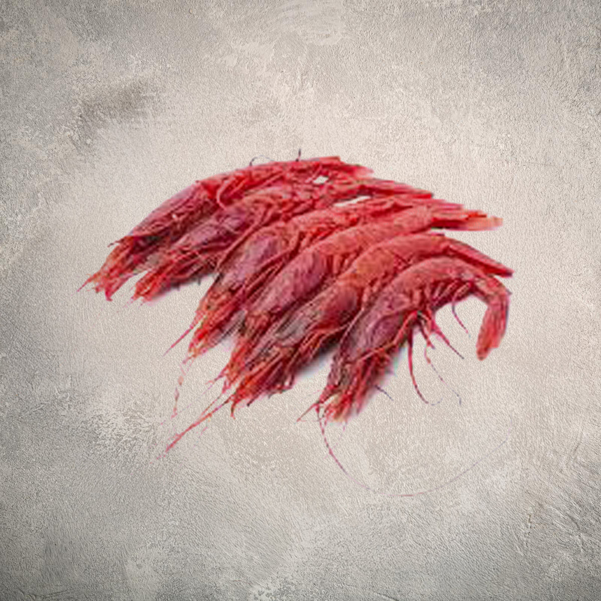 Spanish Carbaneiros – FishFinery