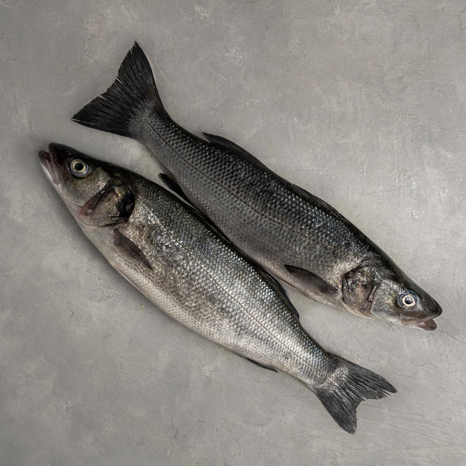 Order Seafood Online with FishFinery