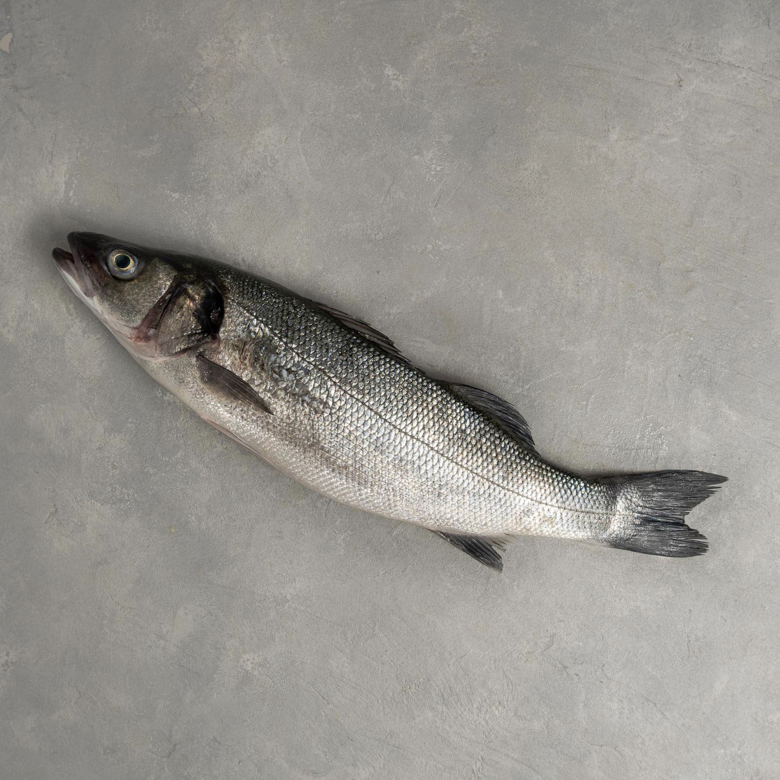 Order Seafood Online with FishFinery