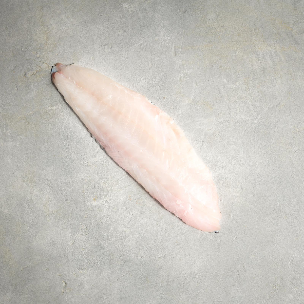 Black Bass Fillet – FishFinery