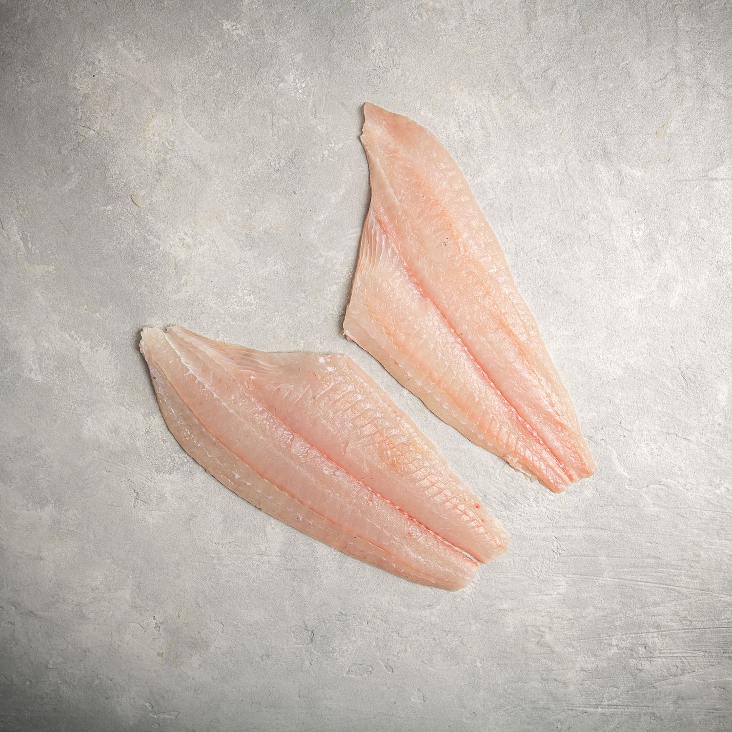 Northern Species – FishFinery