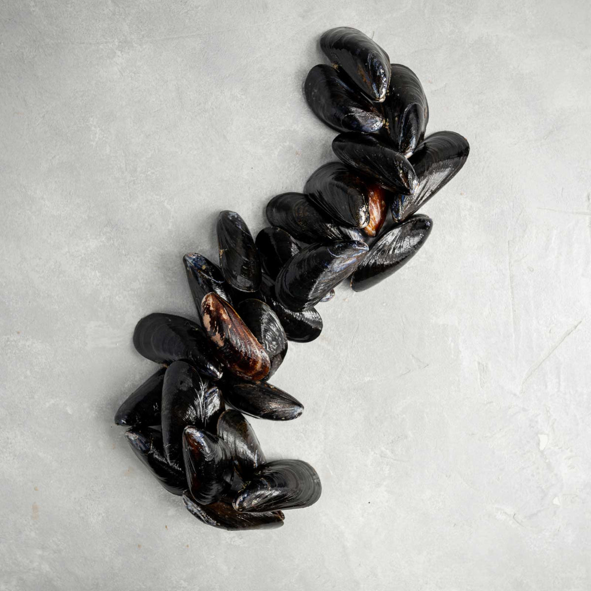 PEI Mussels – FishFinery